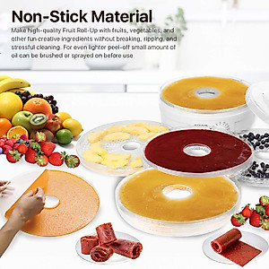 Flexzion Nonstick Fruit Leather Trays for Dehydrator, Fruit Roll Up for Food Dehydrator Machine (11 7/8 Inch) 2 Pack, Reusable Dehydrator Sheets for Dry Fruit Snacks Roll