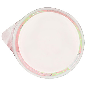 Harmless Harvest Dairy-Free Cup Yogurt - Strawberry, 4oz