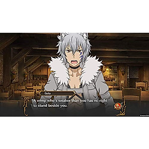 Is It Wrong To Try To Pick Up Girls in A Dungeon? Infinite Combate (Nintendo Switch)