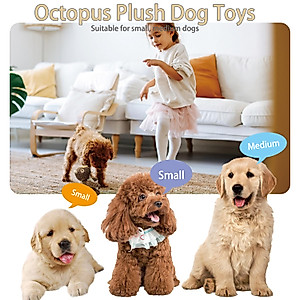 YMZHWR Dog Squeaky Toys, Squeak Dogs Chew Toy for Small Medium Large Breed Chewers Plush Tough Durable Aggressive Stimulating Pet Supplies Gifts (Raccoon+Beaver+Squirrel)