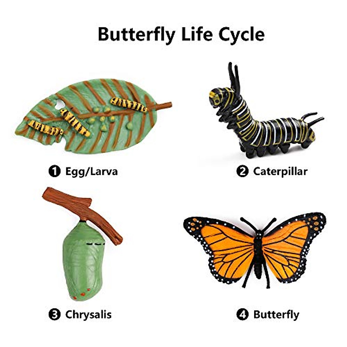 UANDME 4pcs Butterfly Life Cycle Kit Lifestyle Stages of Monarch Butterfly Teaching Tools for Kids, Students