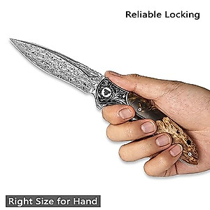 TRIVISA Damascus Folding Knife for Men,3.6'' Hand Forged 110 Layers Steel Hunting Blade,Resin and Wood Handle with Pocket Clip,Virgo-07Y