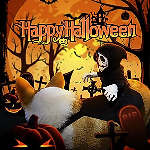 Ghost Dog Costume Halloween Pet Cat Ghost Saddle Costume, Adjustable Halloween Grim Reaper Rider Style Dog Carrying Costume, Ghost Rider Pet Costume for Small Medium Dogs Cats (Medium)