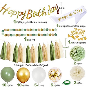Upgraded Sage Green Birthday Party Decorations for Girls Women with Happy birthday Sash,Banner,Tissue Pompoms,Circle Dots Garland,Paper Tassels Garland, cake topper for Her Birthday Decor (sage green)