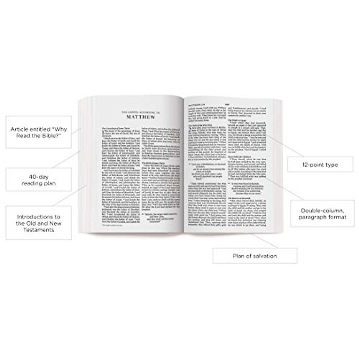 ESV Economy Bible, Giant Print