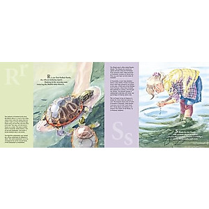 Y is for Yellowhammer: An Alabama Alphabet (Discover America State by State)