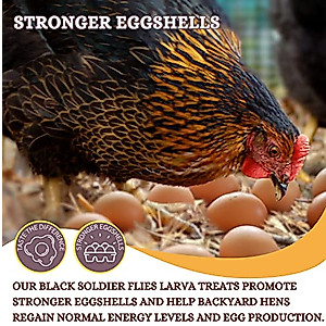 PICKY NEB 100% Non-GMO Dried BSF Larvae Grubs (5 lbs) Bulk - Chicken Treats & Molting Supplement - High-Protein Immune System Booster Snack for Chickens - 85x More Calcium Than Mealworms