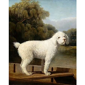White Poodle in a Punt, c. 1780 by George Stubbs - 22x28 Art Print Poster