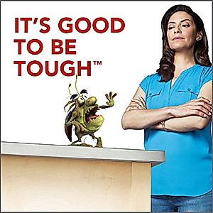 Raid Ant & Roach Killer Lemon Scent, 17.5 Ounce (Pack of 3)