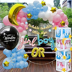 191 PC Twinkle Twinkle Little Star Gender Reveal Decorations - Includes Gender Reveal Balloon Arch Garland & GIRL BOY Balloon Boxes & Gender Reveal Balloon and More – Gender Reveal Ideas