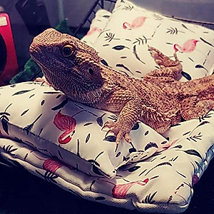 GooWell Bearded Dragon Hammock Lizard Hammock Reptile Bed with Pillow Lizard Habitat Soft and Warm Small Animal Sleeping Bag Set