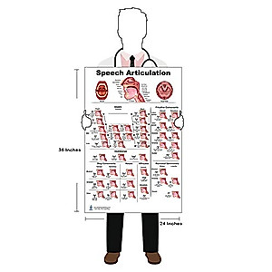 Anatomy Posters for SLP (Larynx, Swallowing, Speech Articulation 24x36)