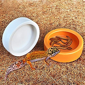 3Pcs Reptile Feeding Tongs Long Tweezers Cricket Clamp Bug Scooper and 2Pcs Reptile Food Bowl Lizard Gecko Food Water Dish Bearded Dragon Feeding Dish, Ceramics Worm Dish