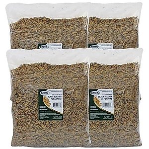 Bulk Dried Black Soldier Fly Larvae (20lb) - High-Calcium Insect Treat - Chickens, Wild Birds, Hedgehogs, Bluebirds, Reptiles, Sugar Gliders, Opossums, Skunks, Lizards, Bearded Dragon, Fish