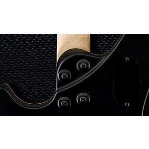 EVH Wolfgang Special - Stealth