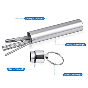 Worldity 5Pcs Reusable Toothpick, Portable Metal Toothpick, Professional Teeth Cleaning Tools, Dental Picks with Toothpick Holder and Key Ring for Travel Picnic Camping