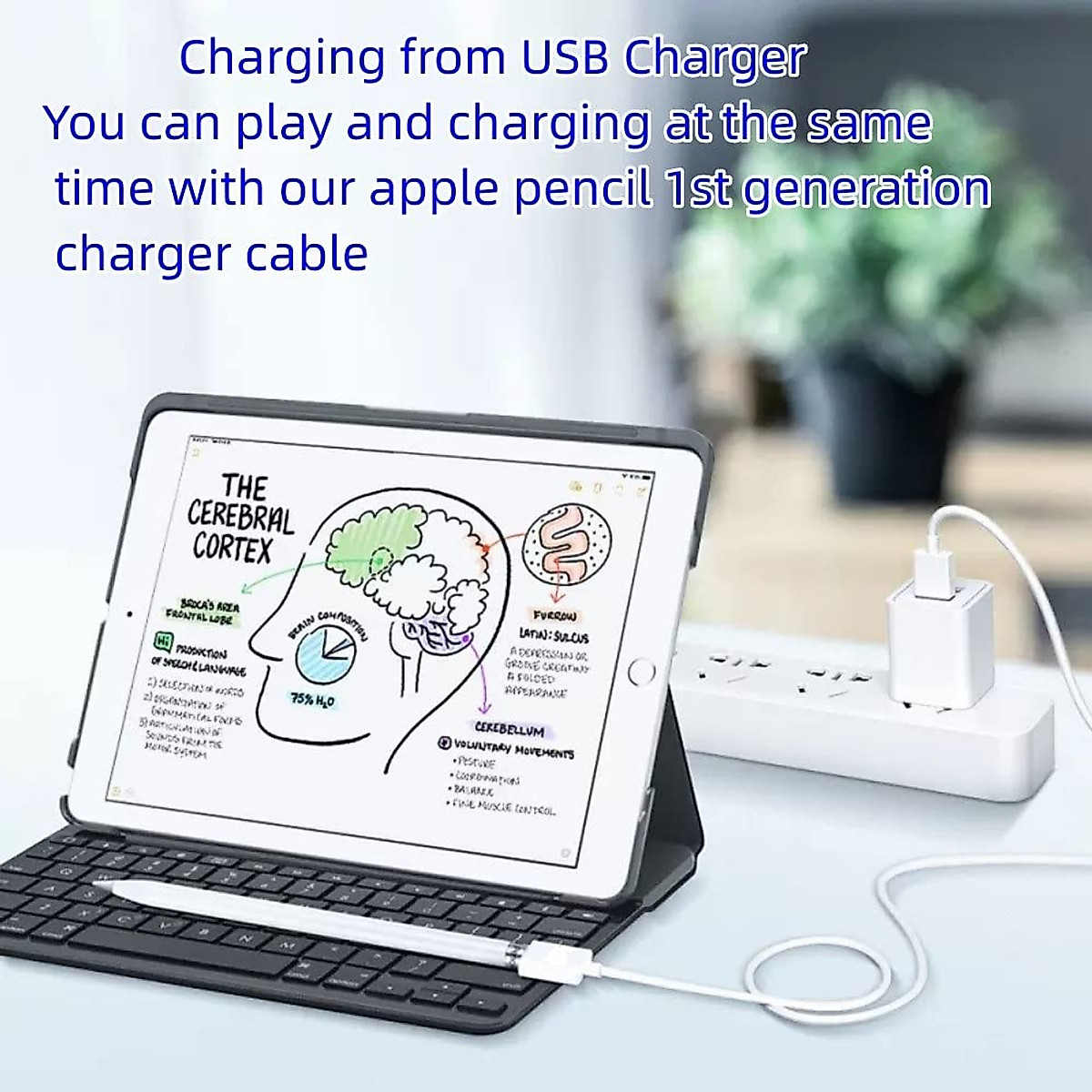 Design for Apple Pencil Charger,Apple Pencil Adapter 1FT/1Pack, iPencil Charger Fast Charging Compatible with Apple Pencil 1st Generation,USB A Male to Lightning Female