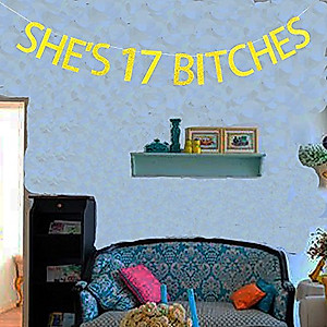 She's 17 bitches banner for 17th birthday party decorations funny hanging gold banner Risehy