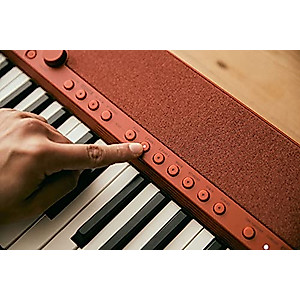 Casio Casiotone CT-S1 61-Key Portable Digital Keyboard - Red Bundle with Adjustable Stand, Bench, Headphones, Sustain Pedal, Instructional Book, Instructional DVD, and Austin Bazaar Polishing Cloth