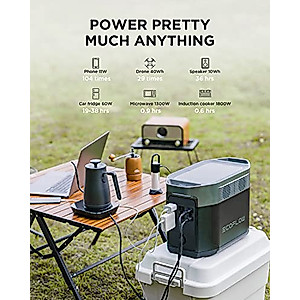 EF ECOFLOW Solar Generator DELTA 1260Wh with 160W Solar Panel, 6 X 1800W (3300W Surge) AC Outlets, Portable Power Station for Outdoors Camping RV High-Power Appliances Emergency