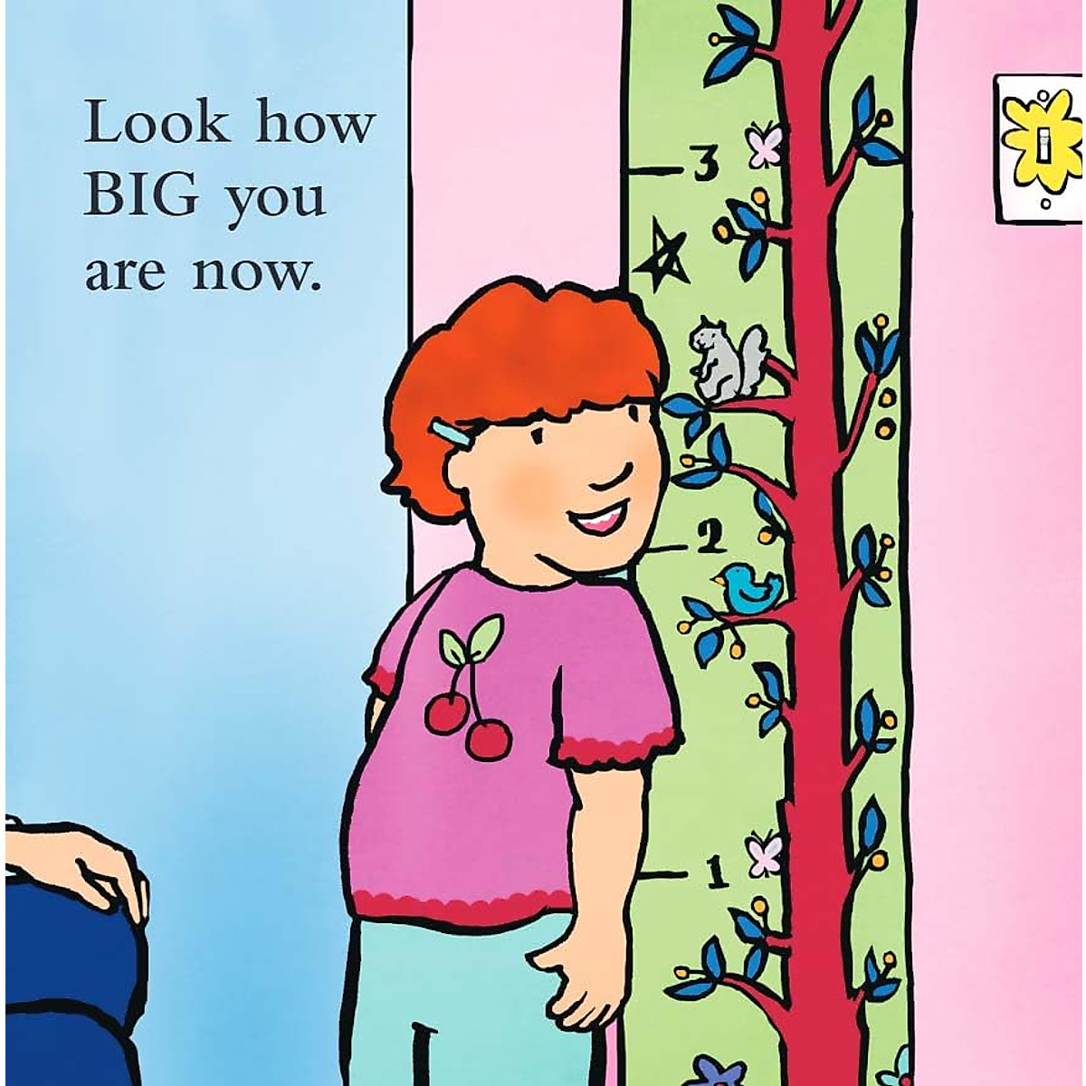 Pacifiers Are Not Forever (Board Book) (Best Behavior Series)