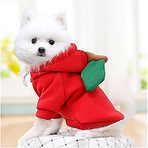 HonpraD Vest Sweater Pet Cats Love Velvet Dogs Medium-Sized Two-Legged Pet Clothes Dog Clothes Small Female