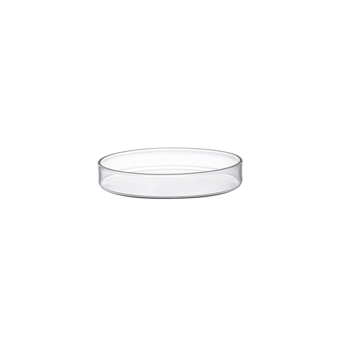 EISCO Petri Dish, 3.93" (100mm) - Beaded Edges Easy to Sterilize for Repeated Use Borosilicate Glass- Eisco Labs