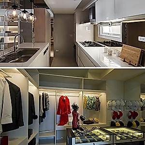 T8 T10 T12 2FT LED Light Tube - 8W LED Replacement for 24 inch Fluorescent Bulb, 20W Equivalent, 1120Lm, 5000K Daylight White, Ballast Bypass, Dual-End Powered, Clear Cover (Pack of 4)