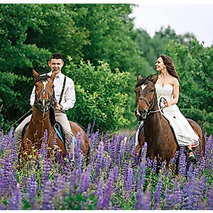 LOLELAI Suspenders for Women and Men | Elastic, Adjustable, Y-Back | Pant Clips, Tuxedo Braces (1, Black)