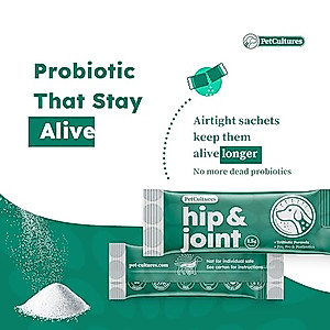 PetCultures Dog Arthritis Supplement with Glucosamine for Dogs Hip and Joint Supplement, Made in USA, 2 Bil CFU Probiotics, 6 Strains, Prebiotics, Chondroitin, MSM, Joint Support for Dogs