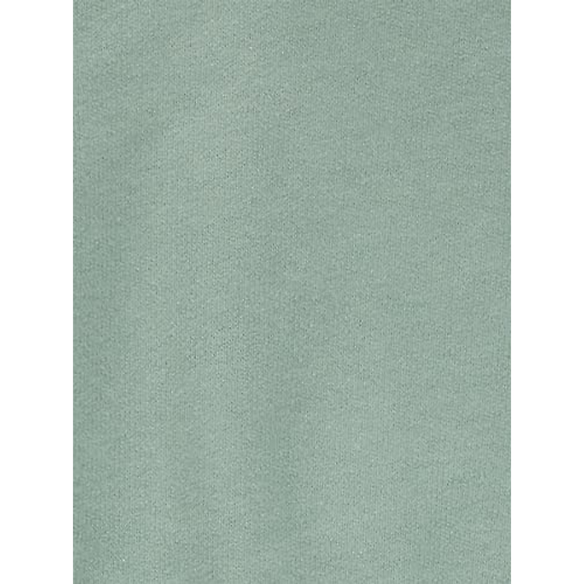 Simple Joys By Carter's Baby Boys Casual Playwear Sets, Sage/Ivory, 18M US