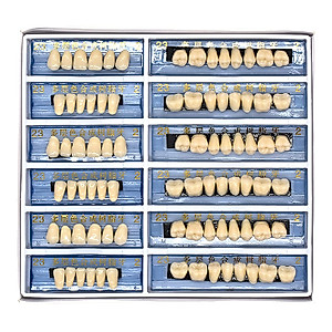 RZJZGZ 168 Pcs Dentures Resin Teeth Halloween Fake Teeth Vampire Horror Teeth Fangs for Halloween Party Cosplay Props Horror Party FavorsA2 …