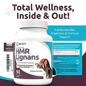 K9 Select HMR Lignans for Dogs - Enhancer for Overall Wellness, Immune Support for Dogs - Norway Spruce Extract Holistic Dog Health - Digestion, & Coat Care - Peanut Butter, 20mg, 90 Tablets