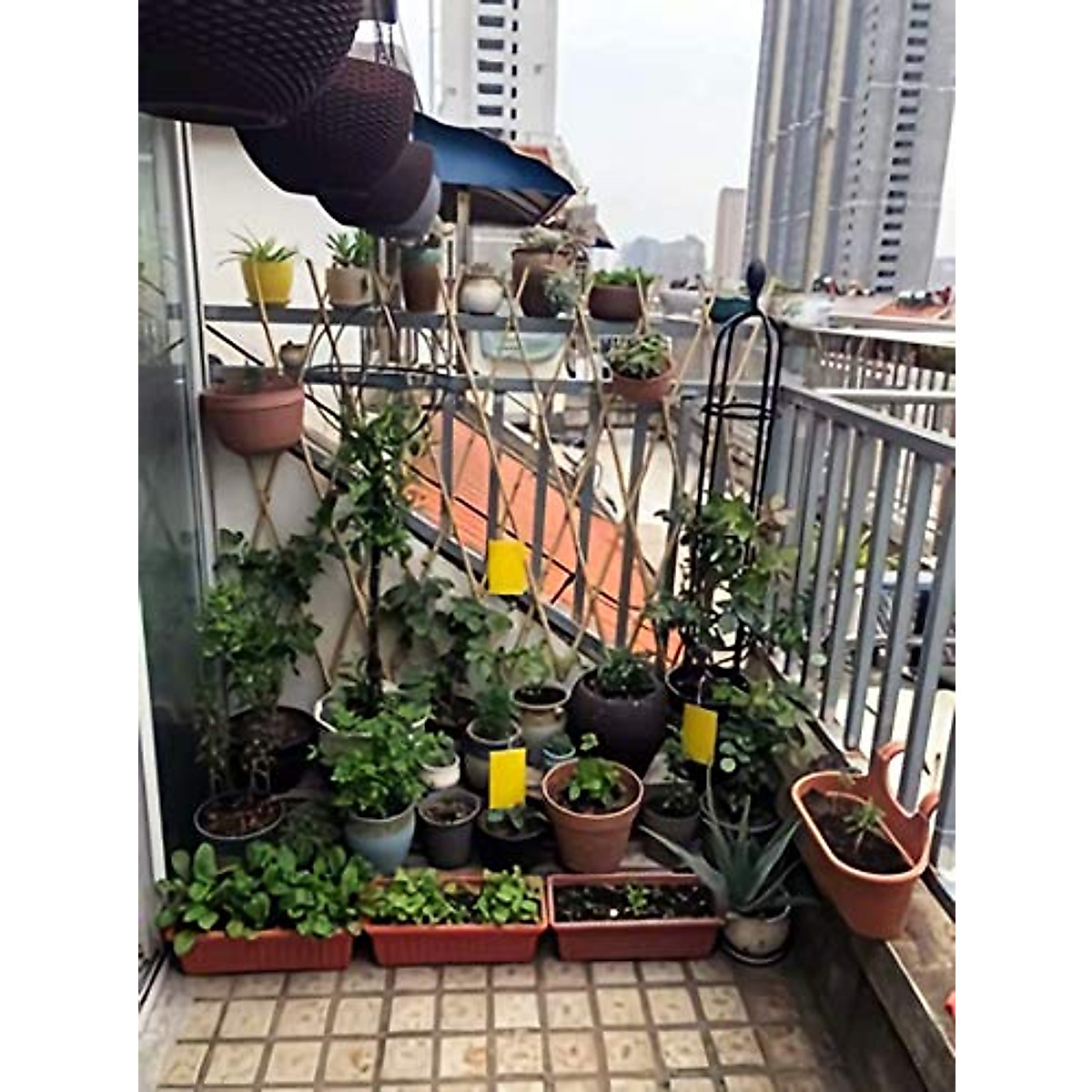 Faicuk 20-Pack Dual-Sided Yellow Sticky Traps for Flying Plant Insect Like Fungus Gnats, Aphids, Whiteflies, Leafminers - (6x8 Inches, Twist Ties Included)