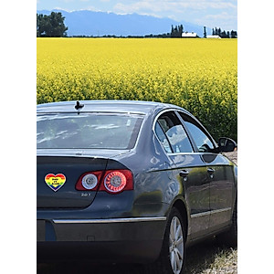 CHUBBYCHEEKS Baby on Board Magnet Sign for Car, Water Resistant, Weather Resistant with UV Protected Film (Rainbow Love)