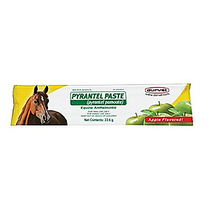 Durvet Pyrantel Paste Dewormer - 1200 lbs