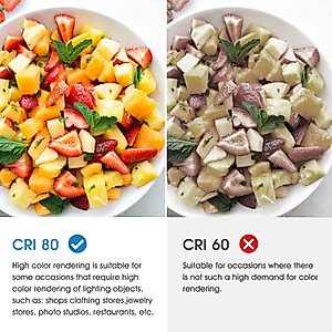 G25 LED Vanity Light Bulbs, 100W LED Globe Bulb Equivalent, 9W LED Vanity Bulbs for Bathroom, 5000K Daylight White 900LM, E26 Base Round Makeup Mirror Bathroom Lights Bulb Décor Lighting, 4 Pack