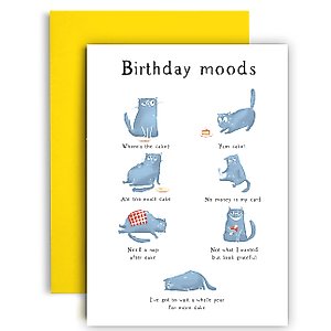 Huxters Funny Birthday Card – A5 Cat Birthday Card with Included Envelope – Unique Hand Illustrated Design – Ultra-Thick Recyclable Paper – Ideal Mother Birthday Card, Best Friend, Cat Lovers…