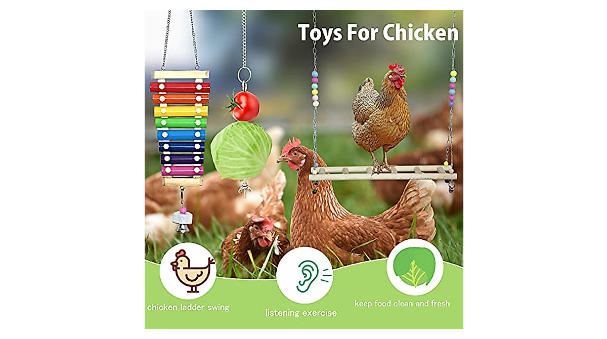 WDSHCR Chicken Toys Xylophone & Feeder Pack for Hen Coop