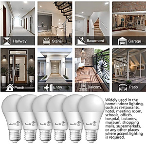 AmeriTop A19 LED Light Bulbs- 6 Pack, Efficient 9W(60W Equivalent) 830 Lumens General Lighting Bulbs, UL Listed, Non-Dimmable, E26 Standard Base (5000K DayLight)