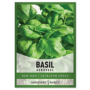 Genovese Basil Seeds for Planting Heirloom Non-GMO Herb Plant Seeds for Home Herb Garden Makes a Great Gift for Gardening by Gardeners Basics