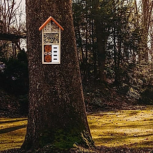 FUNPENY Wooden Insect House, Insect Hotel with Brush for Butterfly, Bees and Ladybugs