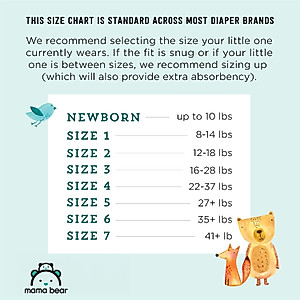 Amazon Brand - Mama Bear Gentle Touch Diapers, Hypoallergenic, Size 1, 196 Count (4 packs of 49)