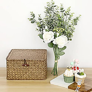 Hipiwe Wicker Shelf Baskets Bin with Lid Handwoven Seagrass Storage Basket Container Square Multipurpose Household Basket Boxes for Shelves and Home Organizer, Coffee Medium