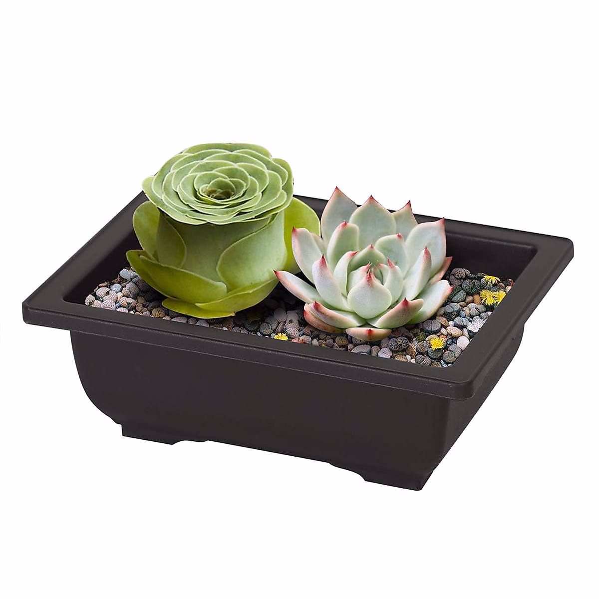 KINJOEK 20 PCS 6.5 Inch Plastic Bonsai Training Pots with Drainage Trays, Rectangular Plant Bonsai Pot, Flower Succulent Tree Growing Pots Container for Garden, Indoor, Home Decorative