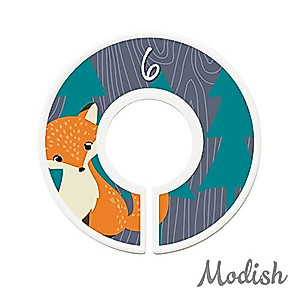 Modish Labels Kids Clothes Size Dividers, Clothes Organizer for Kids, Size Dividers, Closet Organizer System, Closet Dividers, School Clothes, Boy, Woodland, Fox, Bear, Owl, Hedgehog (Toddler/Child)