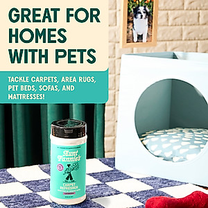 Aunt Fannie's Carpet Refresher, Odor Neutralizing Powder for Homes with Children or Pets (Bright Lemon, Single)