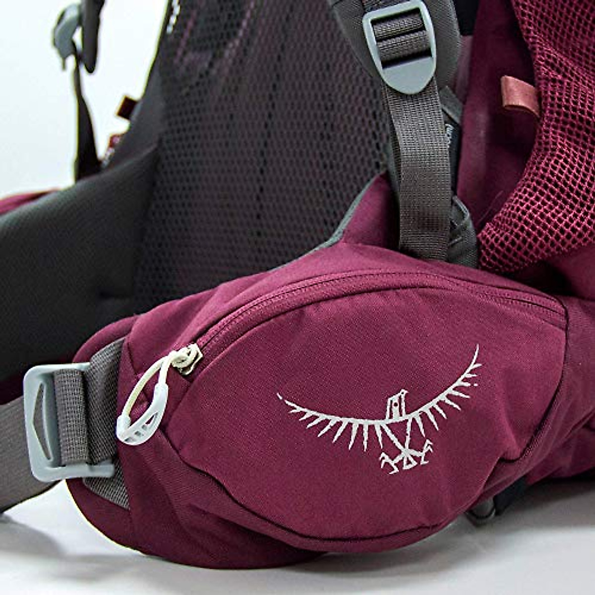 Osprey Renn 65L Women's Backpacking Backpack, Aurora Purple