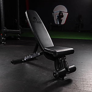 Titan Fitness Single Post Adjustable FID (Flat/Incline/Decline) Bench, Rated 1,500 LB, Weight Training Bench