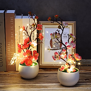 Fairy Lights Battery Operated, Mini Copper Wire String Lights, Full Star Colored Lights Battery LED String Lights Wedding Christmas Decoration Copper Wire String Lights Cake(5 meter with 50 lights)